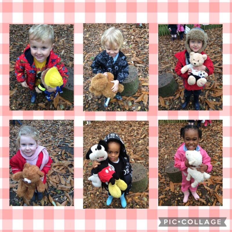 Teddy Bear Adventures – Newdale Primary and Nursery School