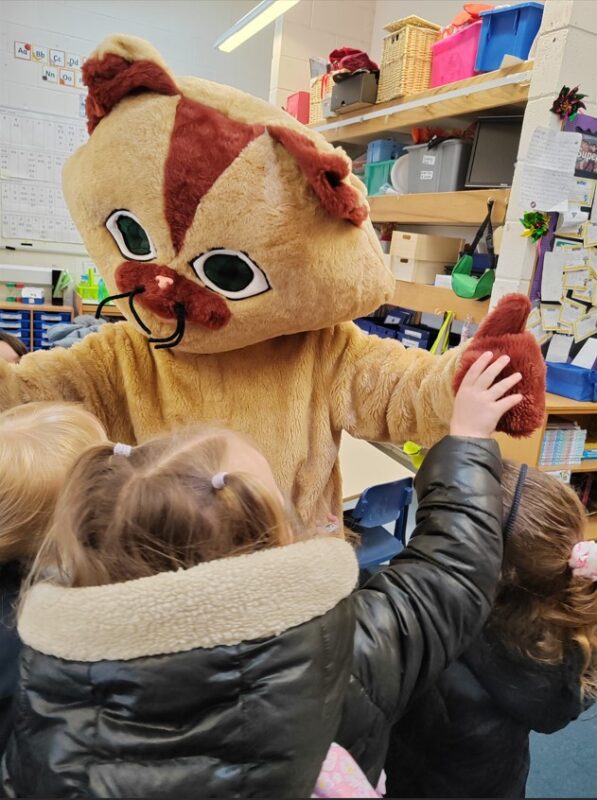 Cool Cat! – Newdale Primary and Nursery School